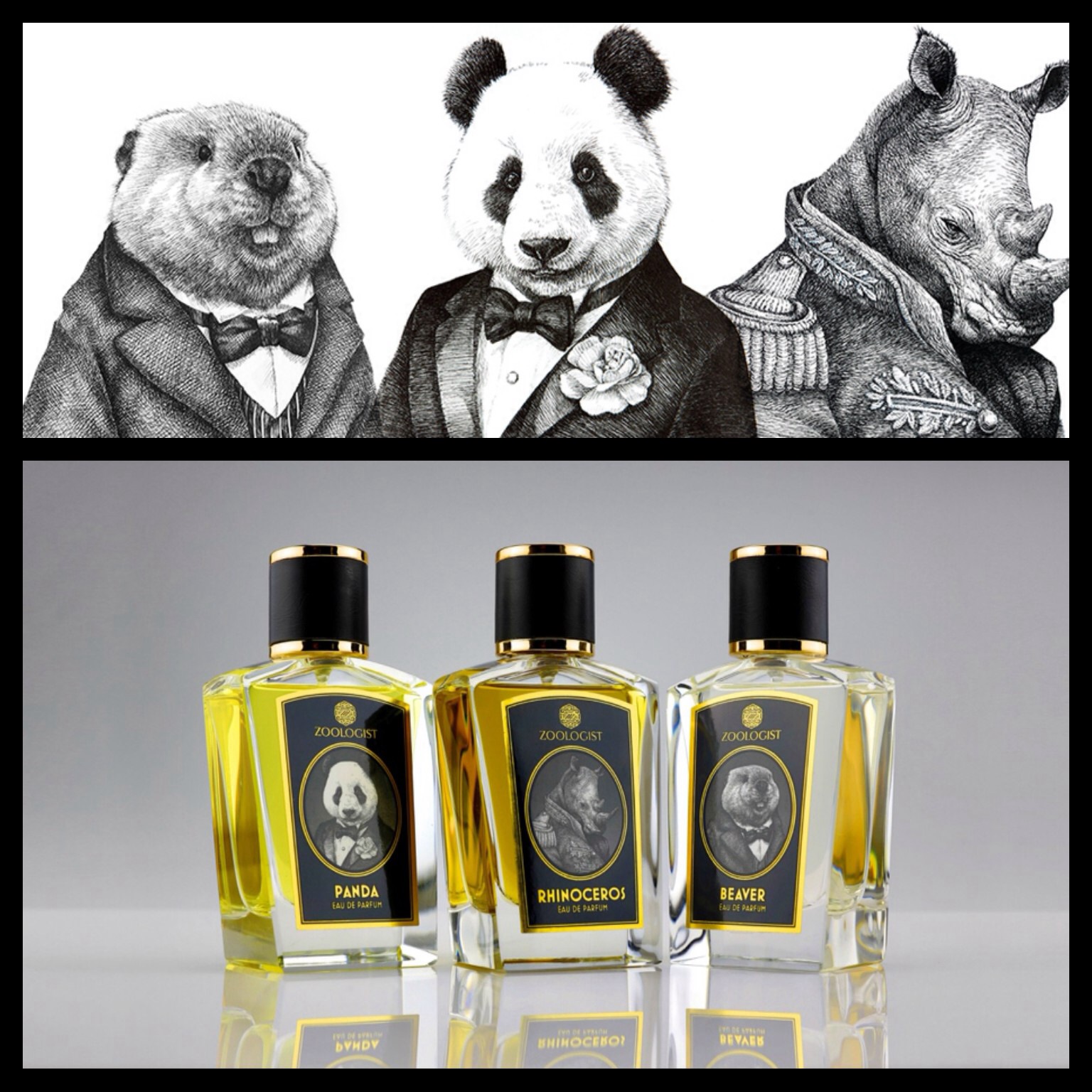 Zoologist Perfumes: perfumowa menażeria | PERFUMOWY BLOG